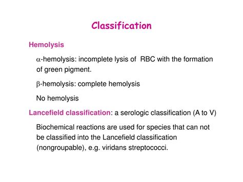 Ppt Streptococci Powerpoint Presentation Free Download Id6331966