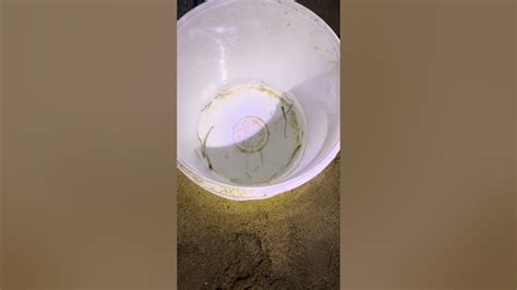 陪着你走 卢冠廷 刘天兰 Youtube