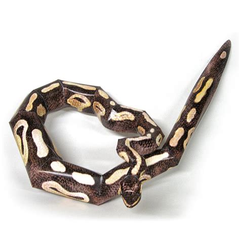 Jual Ball Python Snake Paper Model Realistic Animal Mini 3d Papercraft Jual Ball Python Snake Paper Model Realistic Animal Mini 3d Papercraft