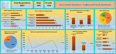 Md Amir Suhail On Linkedin Businessanalyst Datavisualization Exceldashboard Genzcareers…