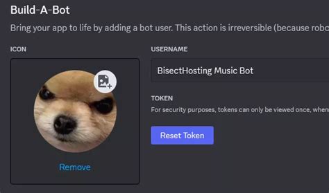 How To Setup A Discord Music Bot Knowledgebase Bisecthosting