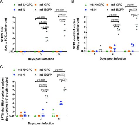 Infectious Sftsv And Sftsv Genome Levels And The Histopathological Download Scientific Diagram