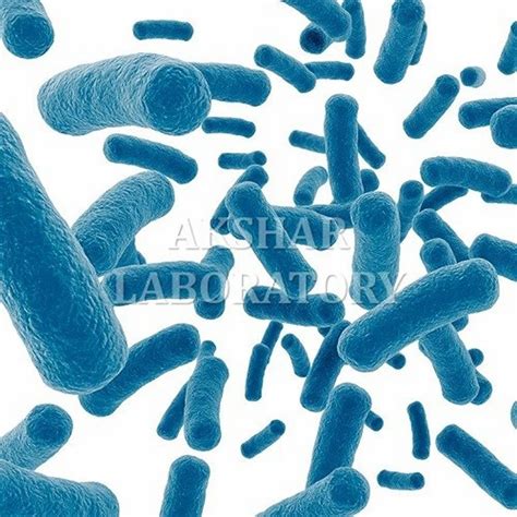 Virology Testing Services At ₹ 199unit In Ahmedabad Id 7268623373