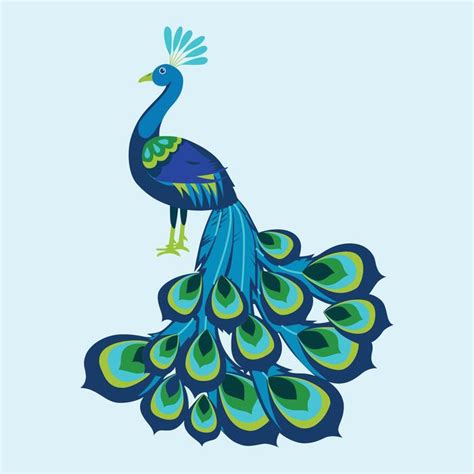 Peacock Dance Vector Art Icons And Graphics For Free Download