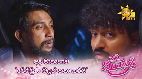 අද මාතෘකාව වෙරිවුණ මලක් කතා කරයි Paata Kurullo පාට කුරුල්ලෝ Youtube