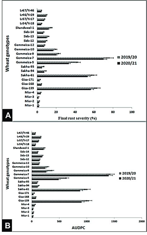 Final Rust Severity A And Audpc B Of 23 Wheat Genotypes Against