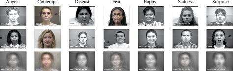 Figure 1 From Facial Affect Detection Using Convolutional Neural Networks Semantic Scholar