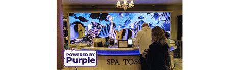 Brightsign Ls445 4k Player Snap One