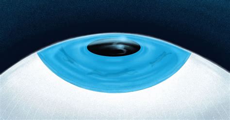 Review Lambda Is The Summers Best Read Wired