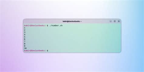 Bash While 循环初学者指南