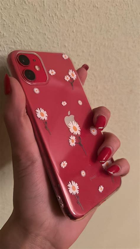 ქეისები