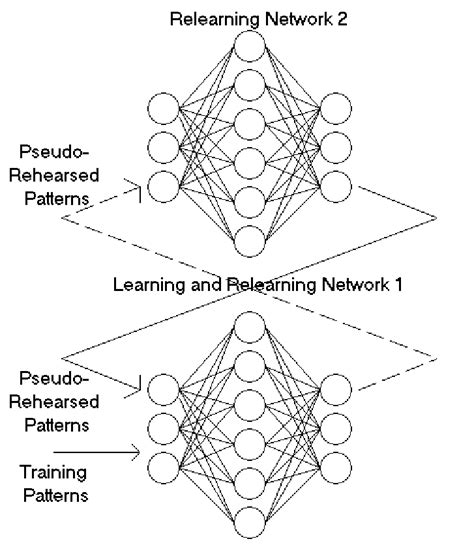 functional transfer of knowledge through self refreshing memory