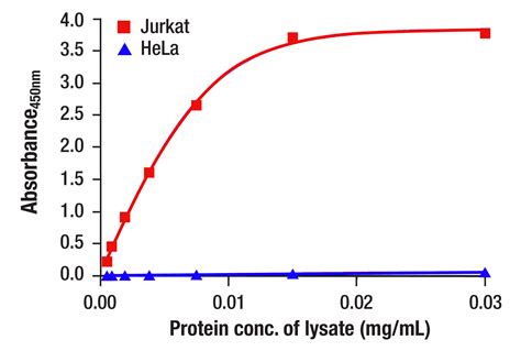 Phospho Rb Ser807811 Matched Antibody Pair Cell Signaling Technology