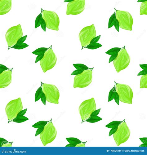 A Seamless Lime Pattern On White Background The Seamless Pattern Of Fresh Citrus Fruit Lime