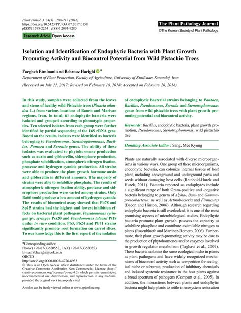 Pdf Isolation And Identification Of Endophytic Bacteria With Plant Growth Promoting Activity