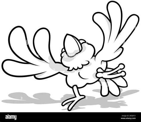 Drawing Of A Dancing Sparrow Stock Vector Image Art Alamy