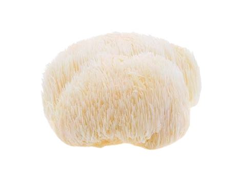 Azoth Biotech Advanced Mushroom Extracts For Nutrition And Wellness