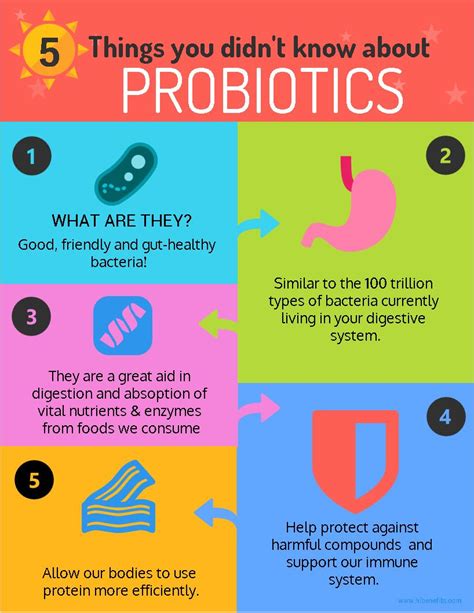 Find Out The Benefits Of Probiotics Probiotics Health Quotes Best