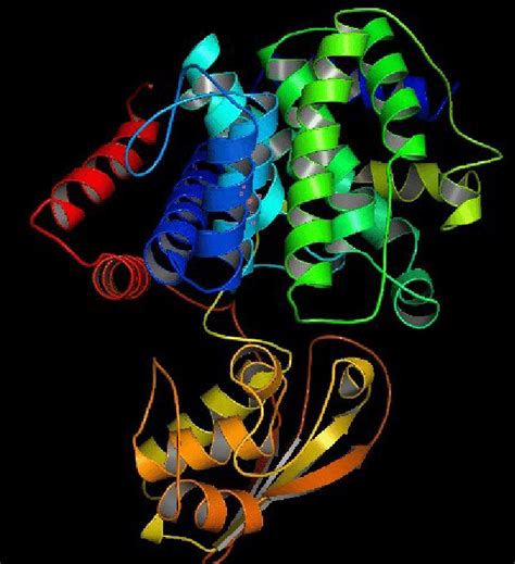 Predicted 3d Structure Of The Hypothetical Protein Rendered By Pymol Download Scientific Diagram