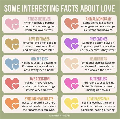 Psychological Facts About Love And Relationships