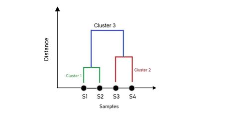 Hierarchical Clustering With Python Askpython