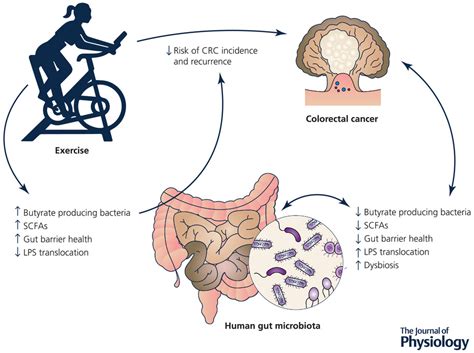 Gut Microbiome