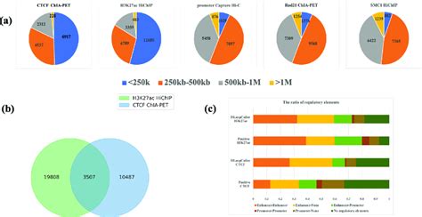 Comparison Of Chromatin Loops Within Individual Cell Types A Download Scientific Diagram