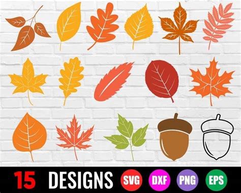 Leaf Svg Svg Files Clipart Laser Download Free Leaf Svg Files For