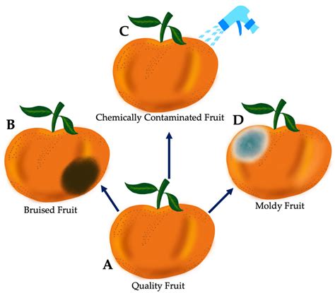 Polysaccharide Based Biodegradable Films An Alternative In Food Packaging