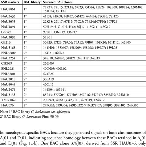 Bac Clones Screened From Two Bac Libraries Download Table