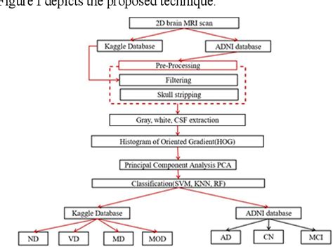 Figure I From A New Hybrid Method Based On Bias Correction Fuzzy C Means And Histogram Of