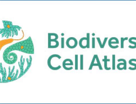 Seuratextend Streamlining Single Cell Rna Seq Analysis Through An Integrated And Intuitive
