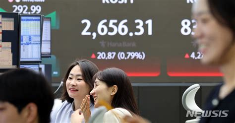 기업 밸류업 일환 개미투자자 보호 상법 개정 공론화한다 소액주주 우대 논란①