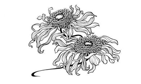 花j结构的简笔画 简笔画图片大全 普车都