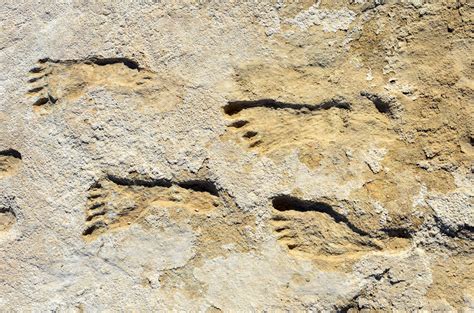 Human Footprints Near Ice Age Lake Suggest Surprisingly Early Arrival In The Americas Science