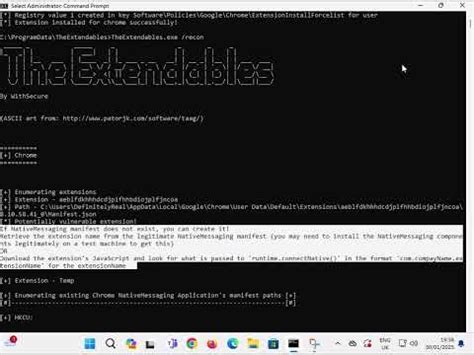 GitHub ReversecLabs TheExtendables