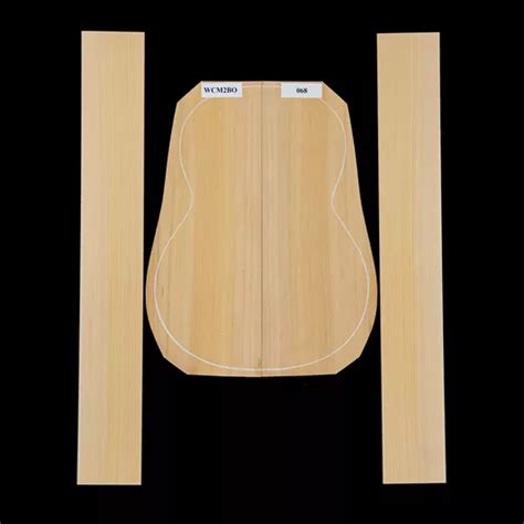 Mediterranean Cypress Back Side Set 068 Stewmac