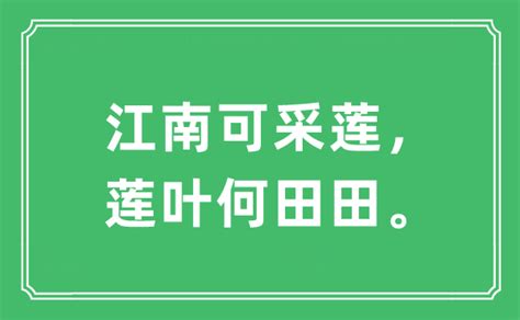 江南可采莲莲叶何田田是什么意思 出处及原文翻译 学习力