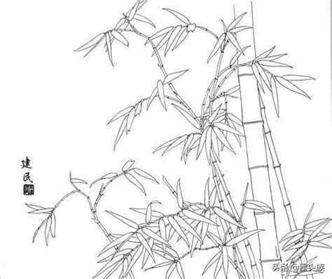 工笔素材竹子高清白描线稿图片41幅 墨尖