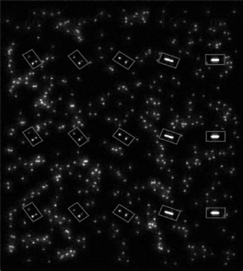 Sample Synthetic Sar Image From Simulation Testbed Download