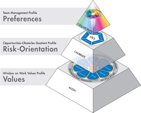 Workplace Behavior Pyramid Values Risks Preferences