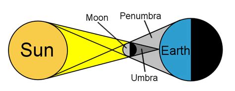Explained Shadow Formation Light And How Shadows Are Formed