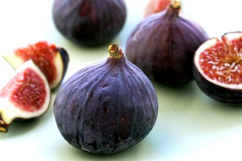 Инжир польза и вред сушеного инжира полезные свойства и противопоказания