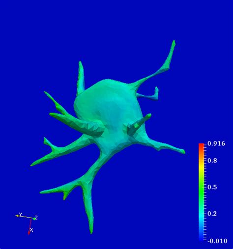 Neuronal Cell A Mesh On The Exterior Surface And The Cell Matrix Download Scientific Diagram