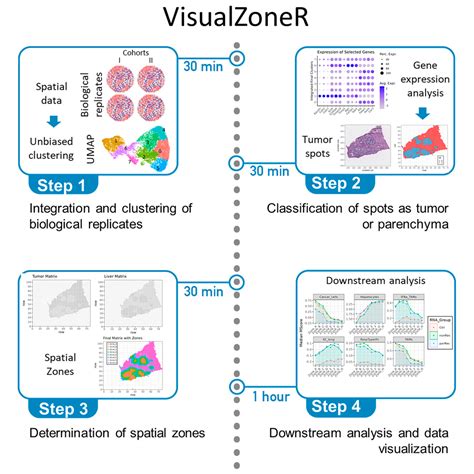 Cell Press Star Protocols