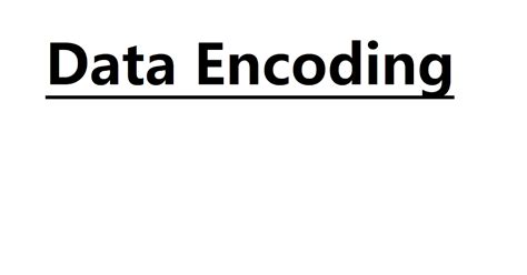 Demystifying Data Encoding A Guide To Label Encoding And One Hot Encoding Demystifying Data Encoding A Guide To Label Encoding And One Hot Encoding