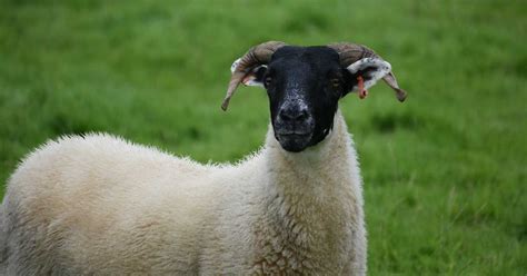 how to use skip and take in laravel query