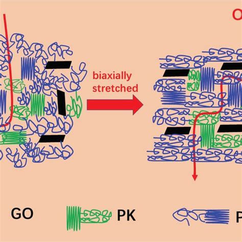 Chemical Structure Of Polyamides A Pa 6 6 B Pa 6i‐6 T Apa Download Scientific Diagram