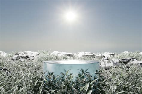 3d 렌더링 플랫폼 및 얼음 연단 배경 얼음 눈 땅과 잔디밭에 햇빛이 비치는 겨울에는 제품 스탠드 디스플레이 광고 화장품 미용