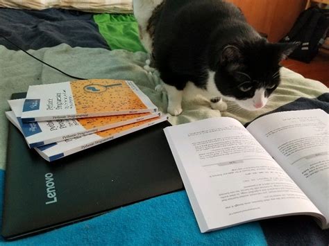 dmitry zinoviev🇺🇦 on linkedin dzpythonic pythonprogramminglanguage